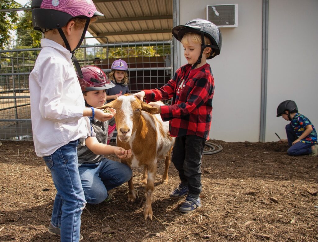 The Barnyard is Back! – On The Hill
