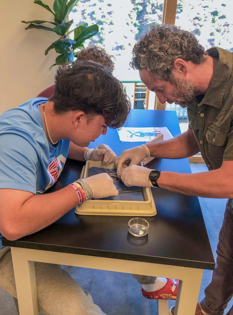 Teens and Turtles: A New School Conservation Duo – On The Hill