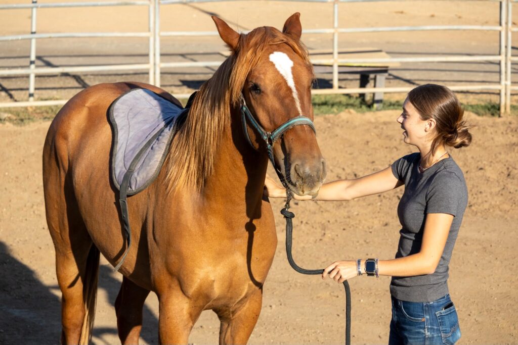 Taming a Wild Mustang: Junior Gets a Jump On Senior Capstone – On The Hill